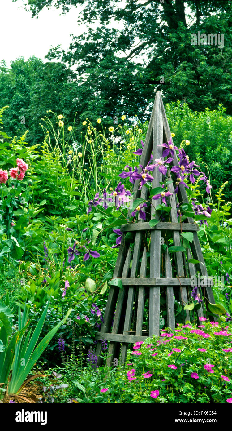 Tuteur hi-res stock photography and images - Alamy