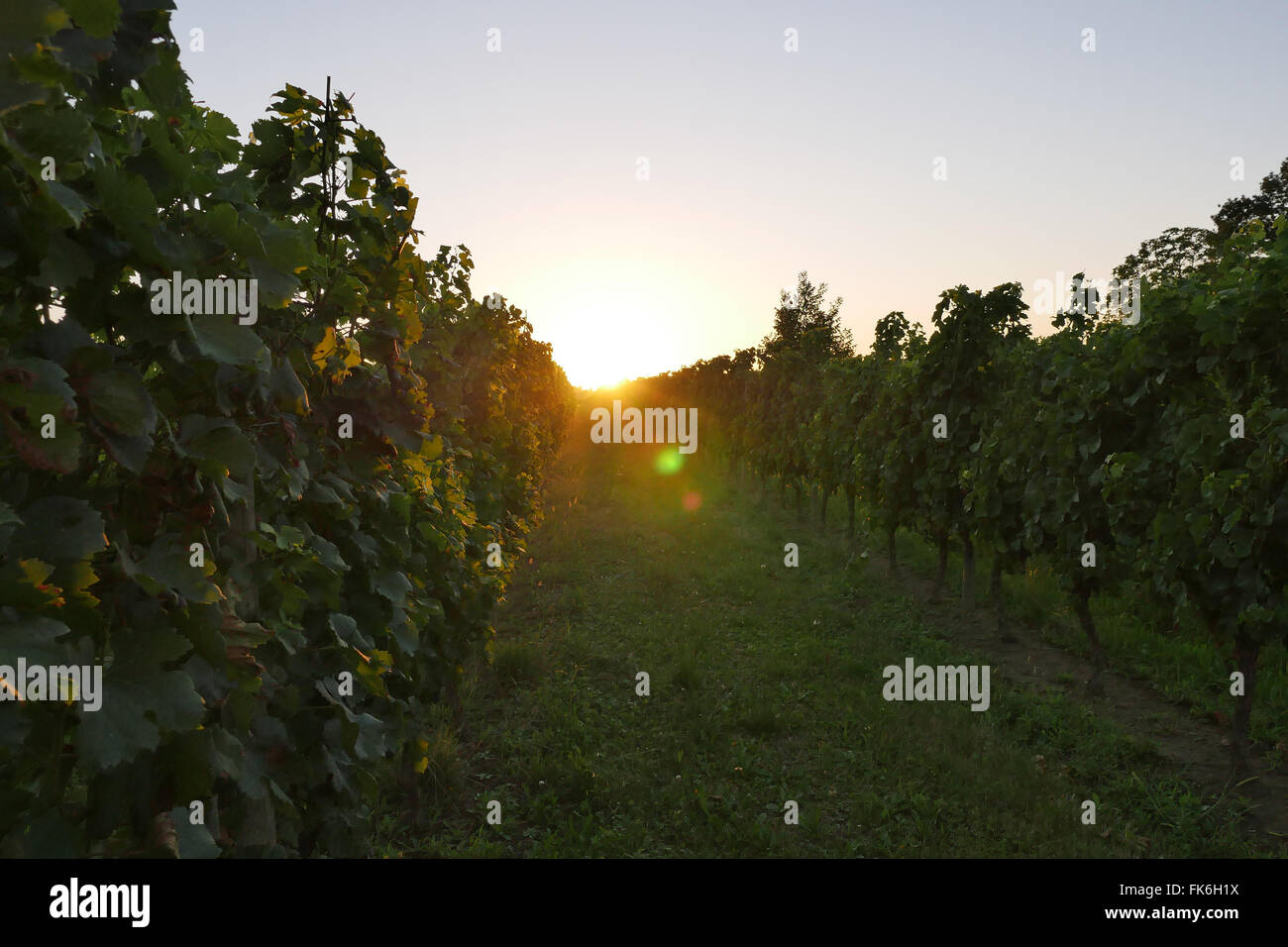 Bordeaux sunset hi-res stock photography and images - Alamy