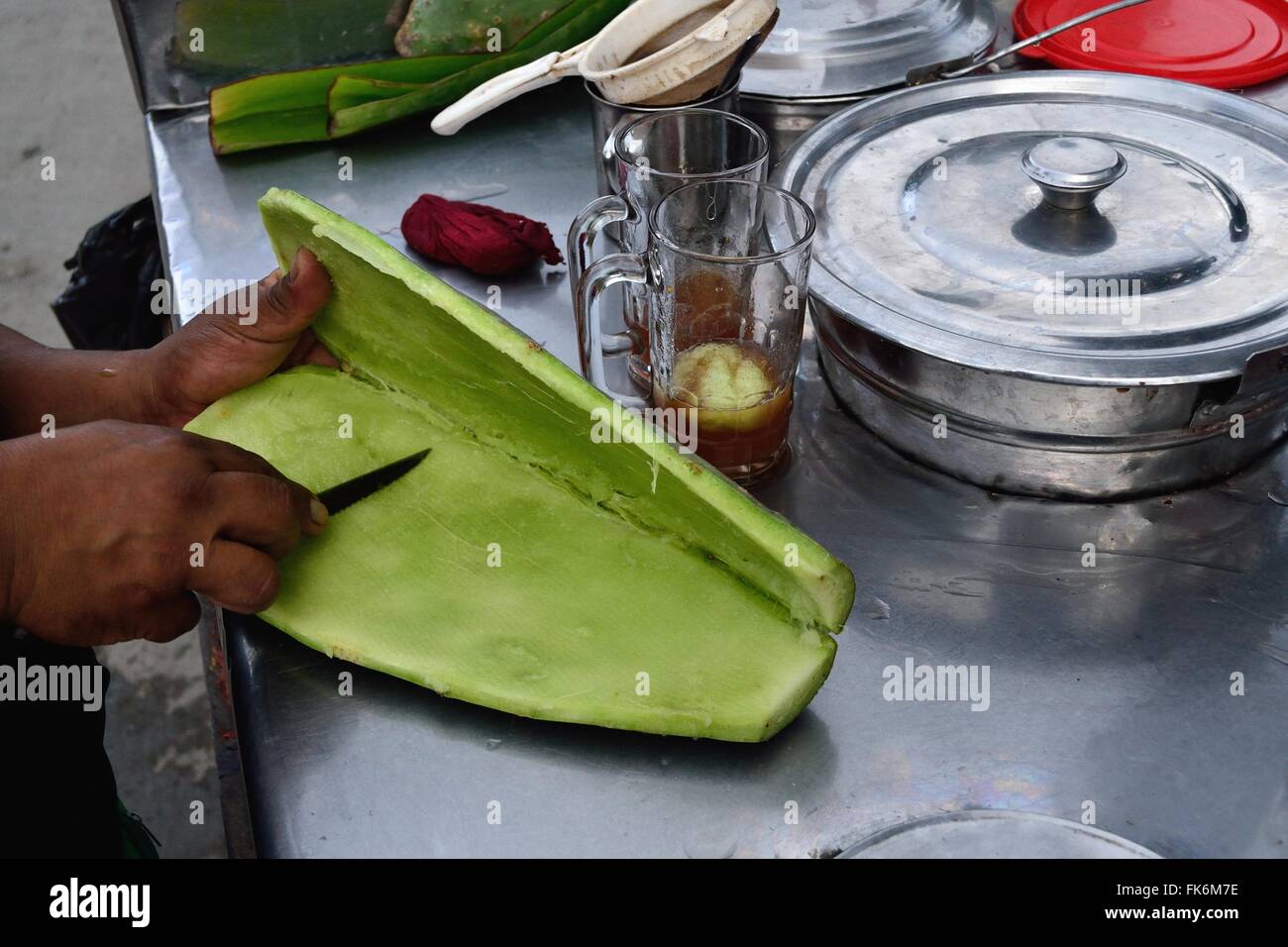 Tuna plant - Emollient - Tonical drink - " La Samaritana Square " in ...
