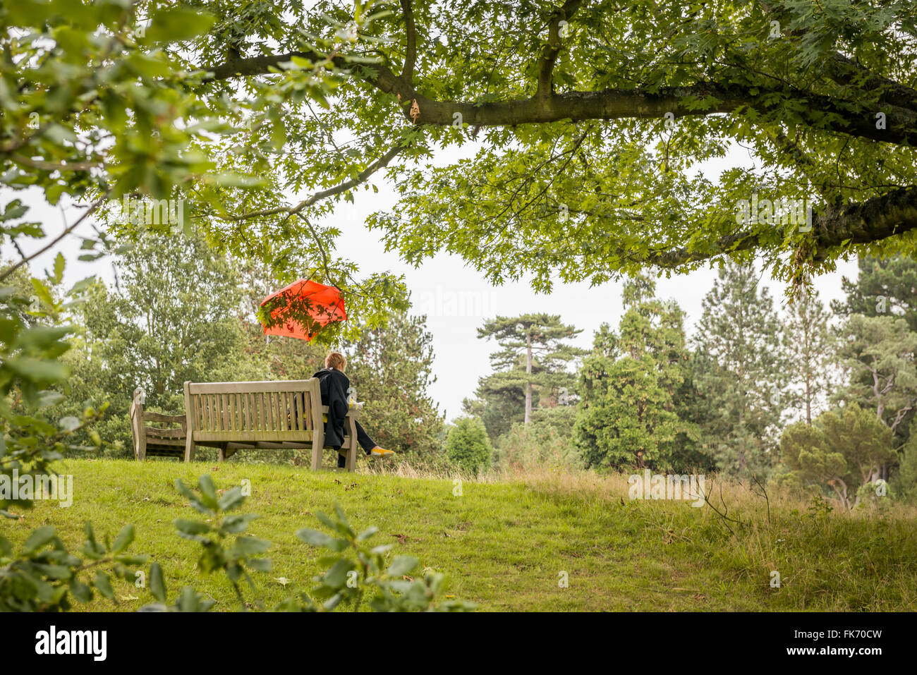 Rain in a park hi-res stock photography and images - Alamy