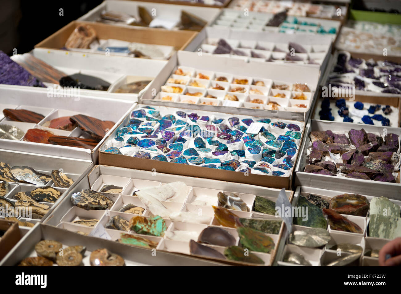 Stones exhibition hi-res stock photography and images - Alamy