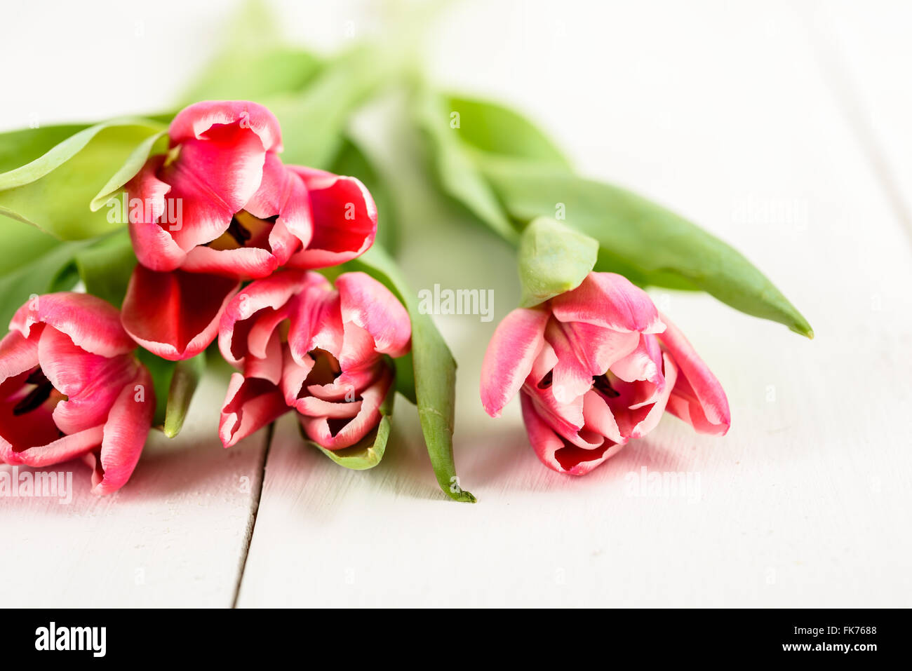 Pink Spring Tulips On White Wood Table Stock Photo - Alamy