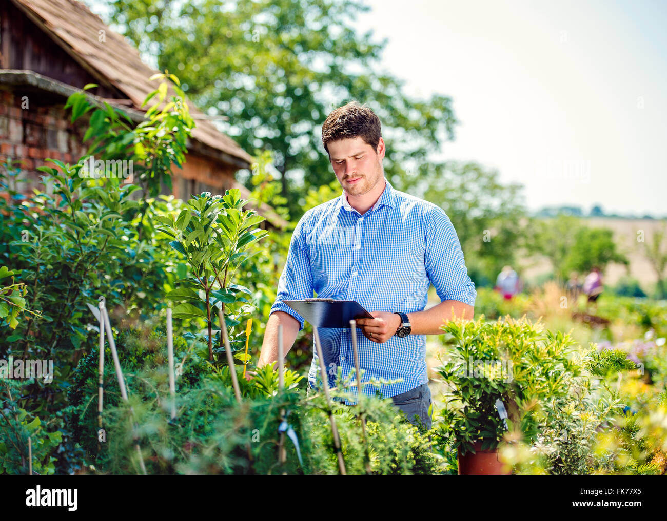 Handsome gardener pruning little tree, green sunny nature Stock Photo ...