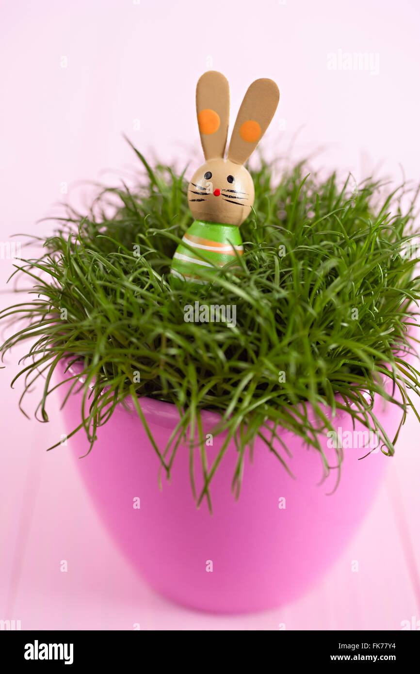Grass in pot Stock Photo - Alamy