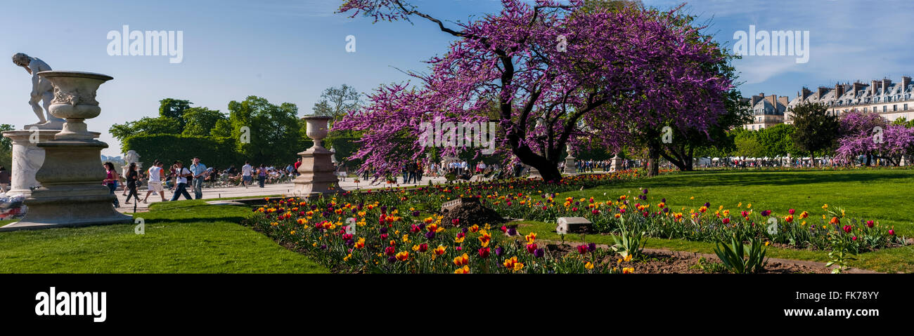 Paris, France, Warm Weather, Spring Scenic, in Tuileries Garden ...
