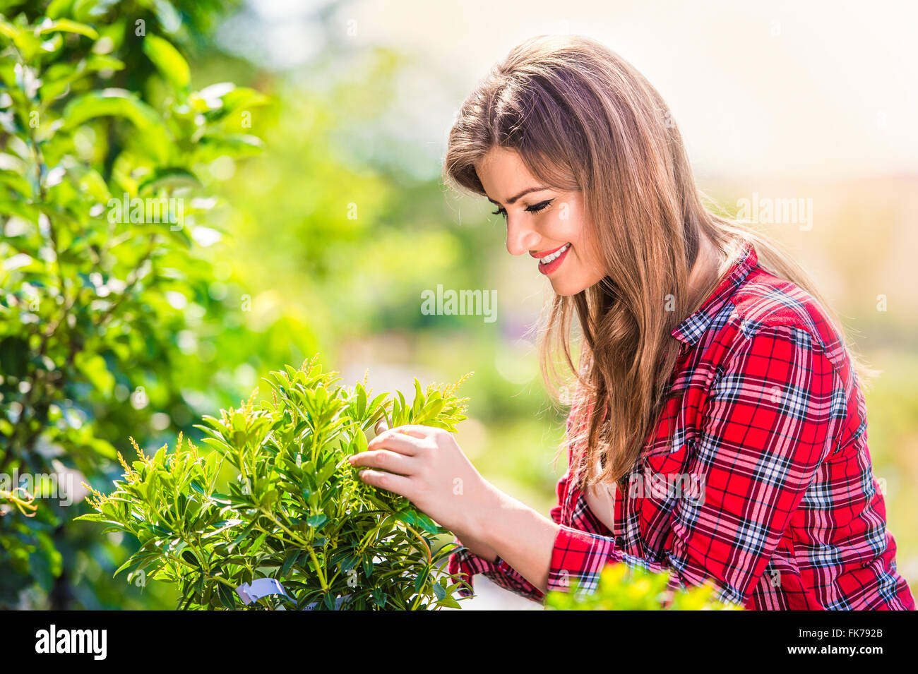 Beautiful gardener with little tree, green sunny nature Stock Photo - Alamy