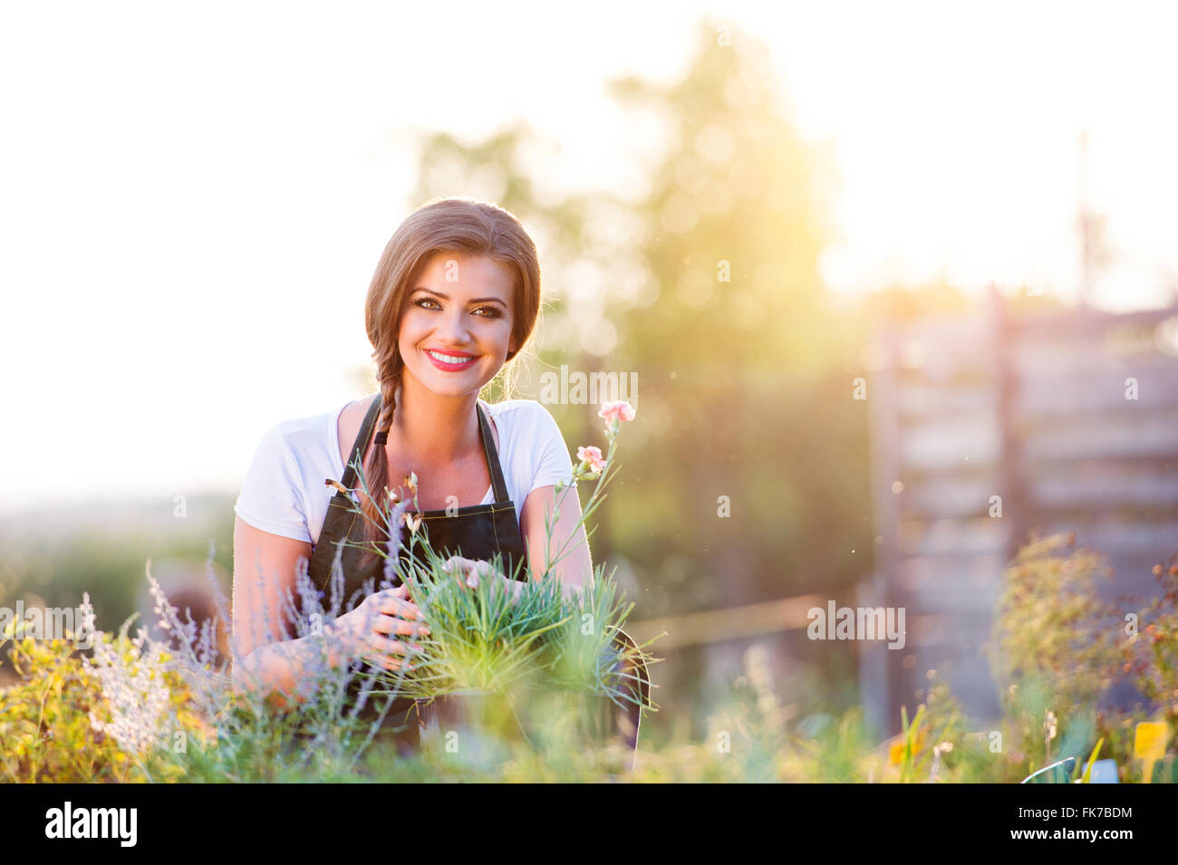 Gardener cut green plants in hi-res stock photography and images - Alamy