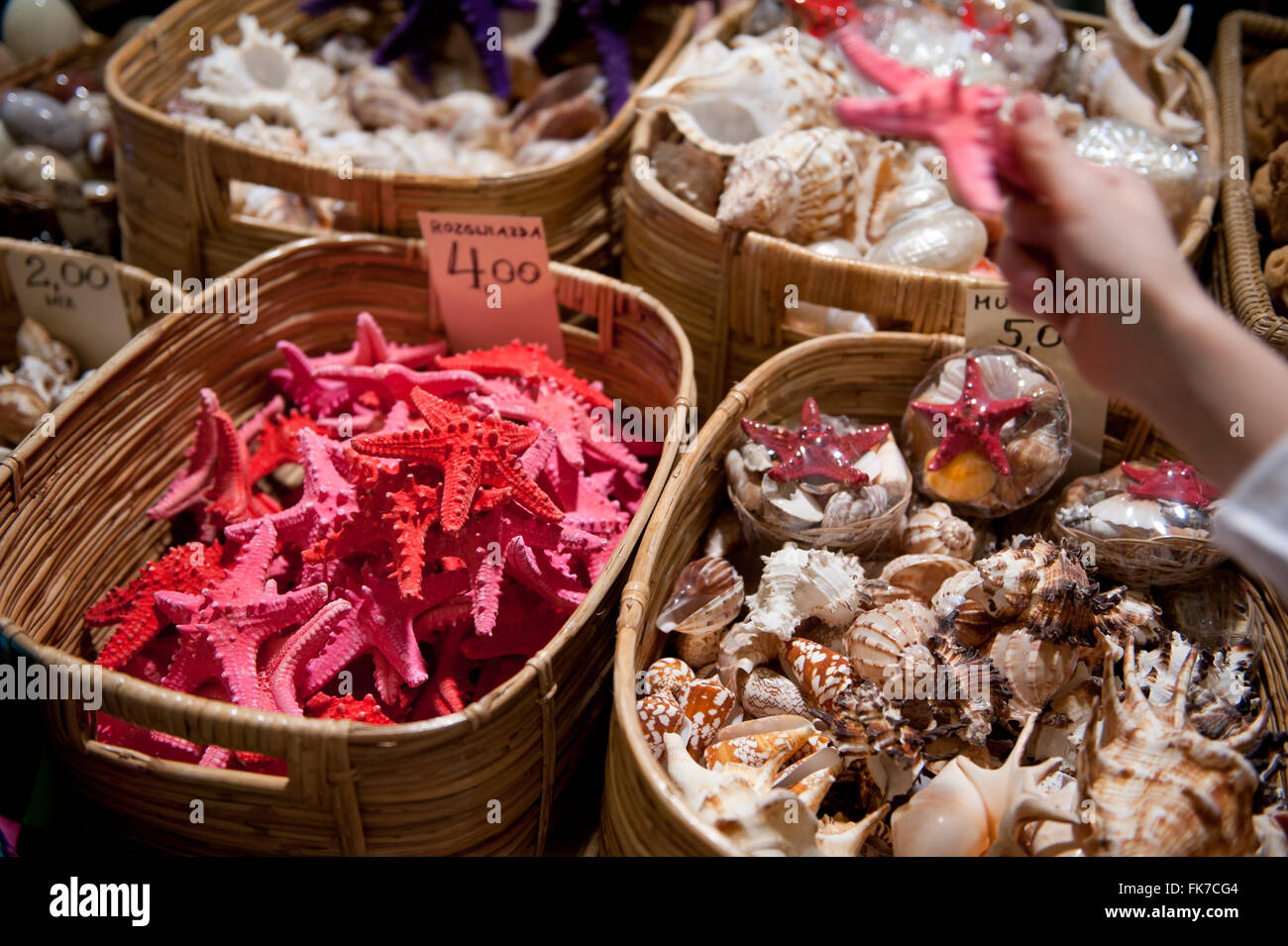 Various shells and red starfish, sea animals lying in baskets for sale ...