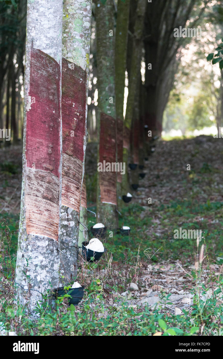 Rubber products hi-res stock photography and images - Alamy