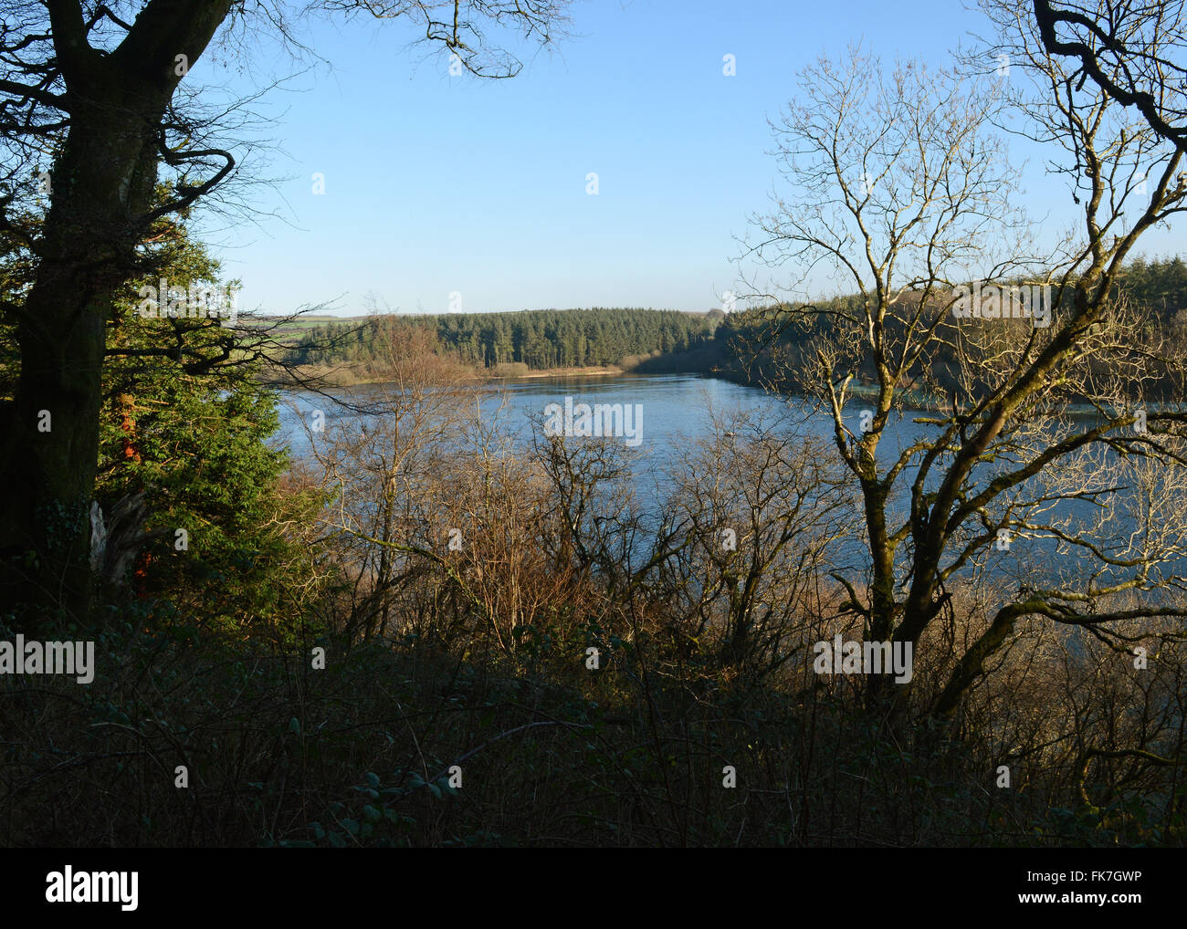 North Devon Landscape and Countryside showing fantastic foliage Stock ...