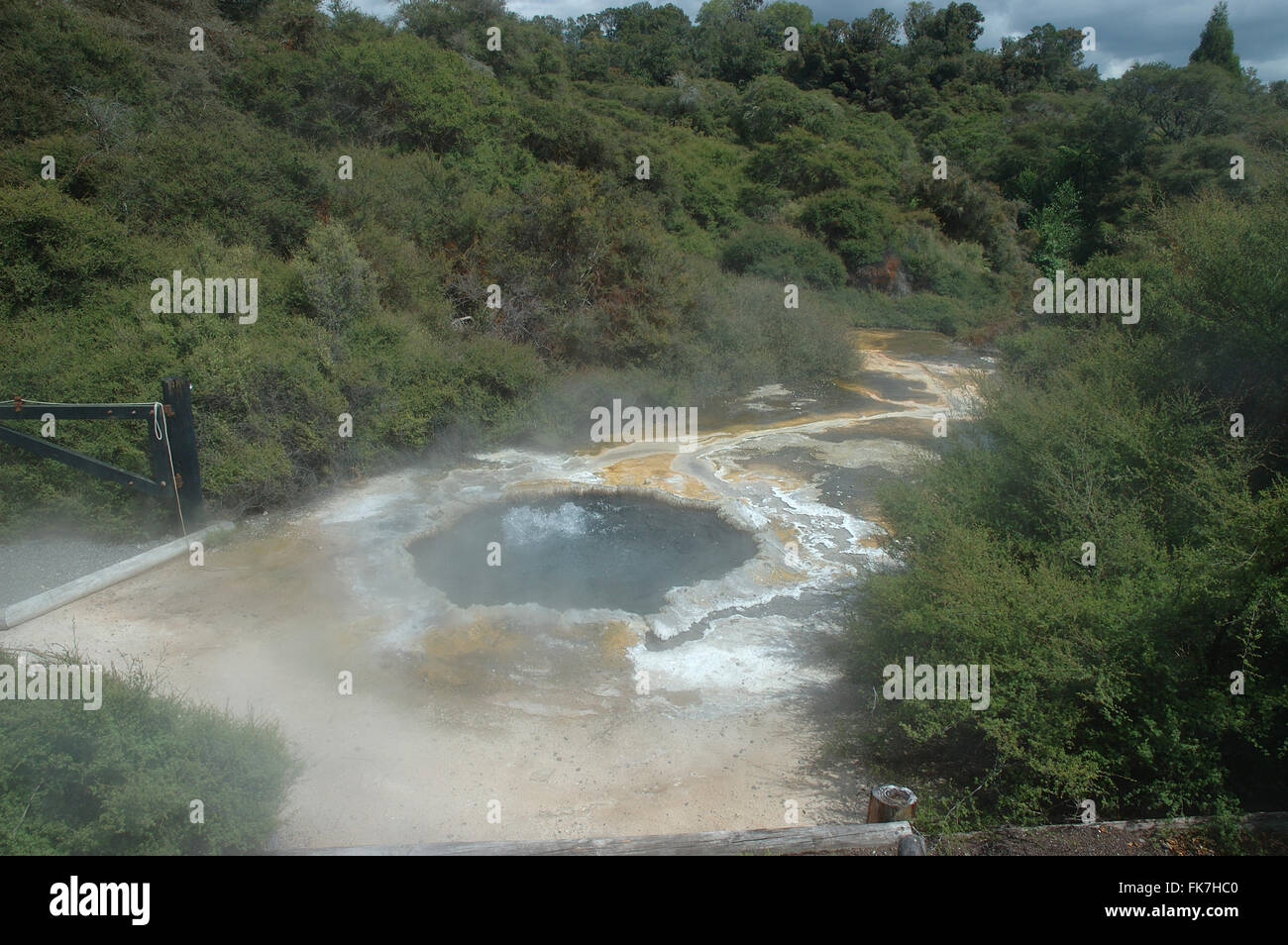 Thermal Pools, Rotorua, North Island, New Zealand Stock Photo - Alamy