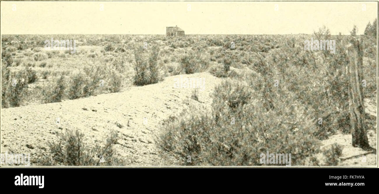 "Elements of Philippine agriculture" (1908 Stock Photo - Alamy