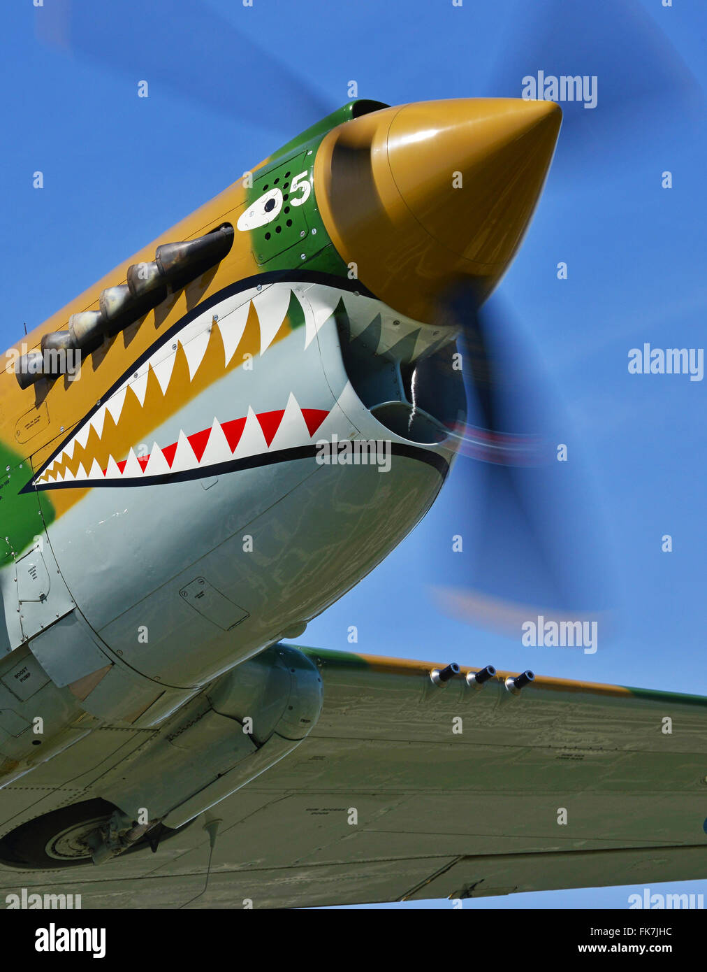 Curtiss WWII P-40 Warhawk fighter airplane Stock Photo - Alamy