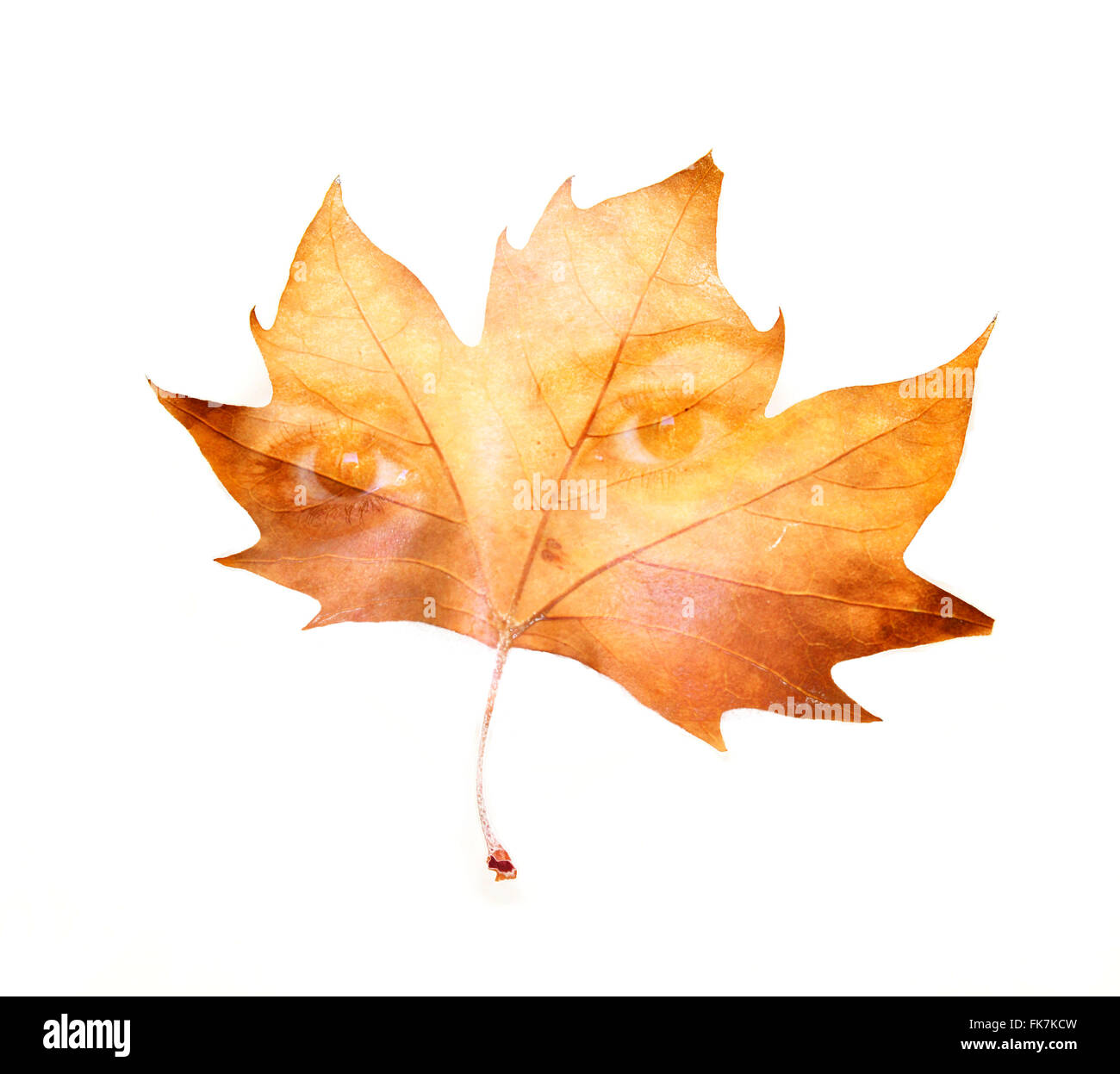 Sad women Cut Out Stock Images & Pictures - Alamy