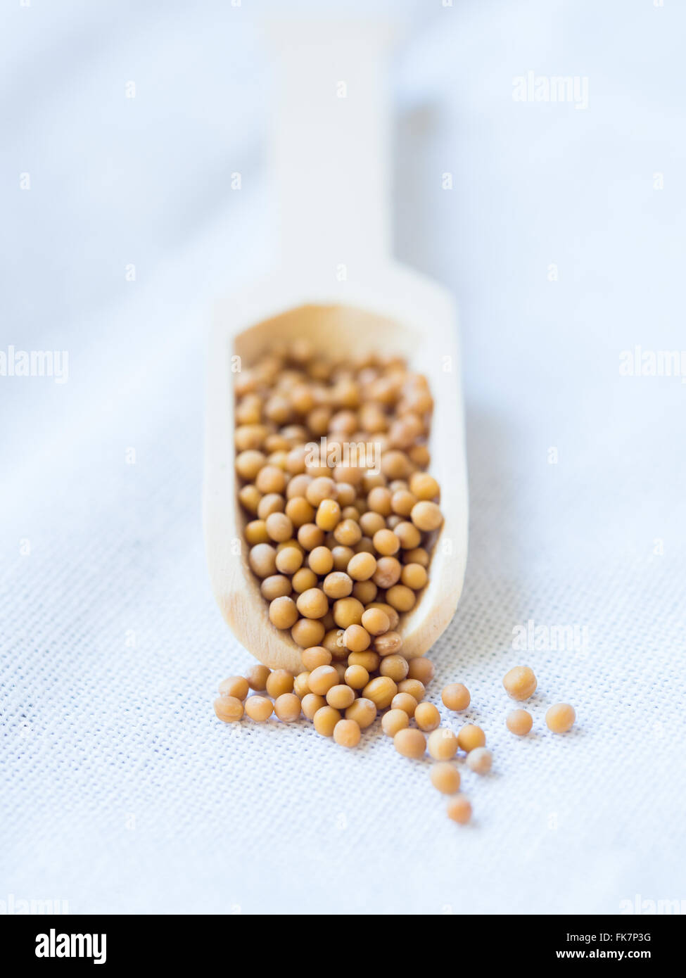 White mustard (Sinapis alba) seeds on white background, close up Stock ...