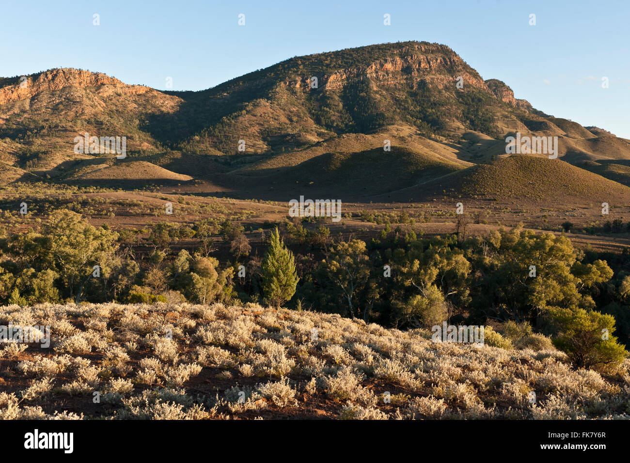 Brachina Gorge, Flinders Ranges National Park Stock Photo - Alamy