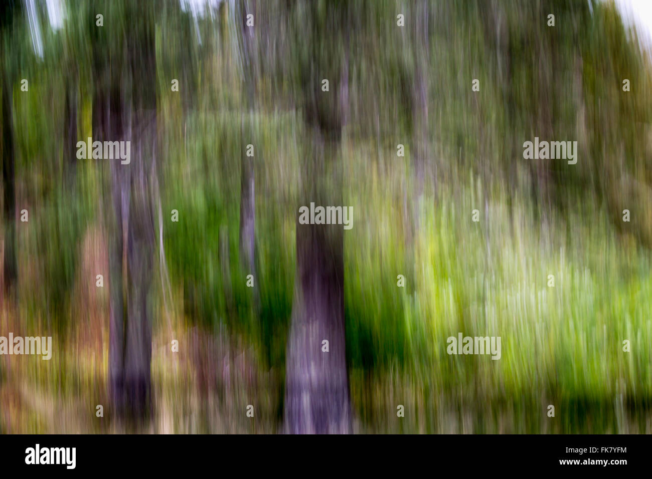 Panning photograph hi-res stock photography and images - Alamy