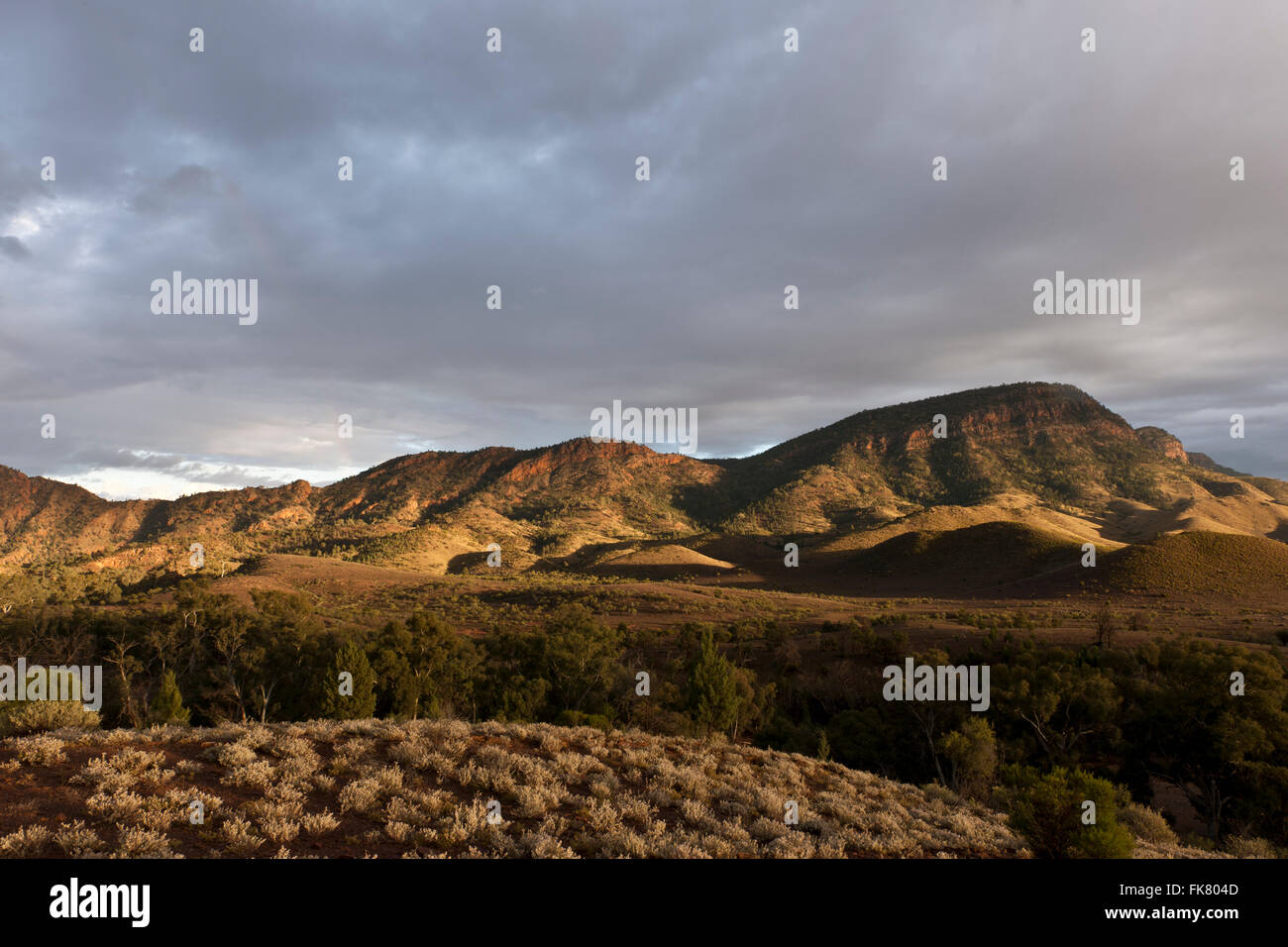 Brachina Gorge, Flinders Ranges National Park Stock Photo - Alamy