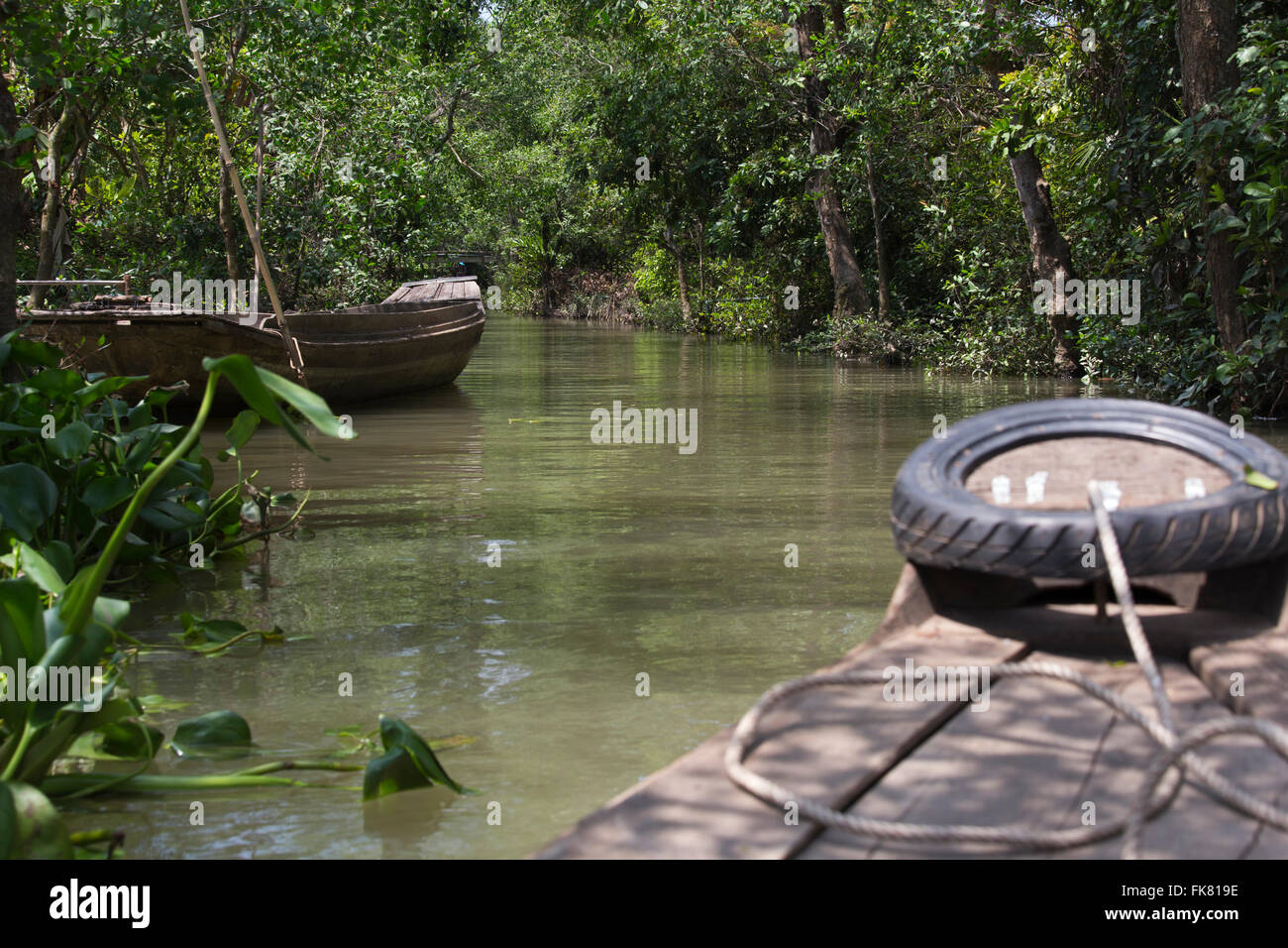 Tropical river with trees on both shores Stock Photo - Alamy