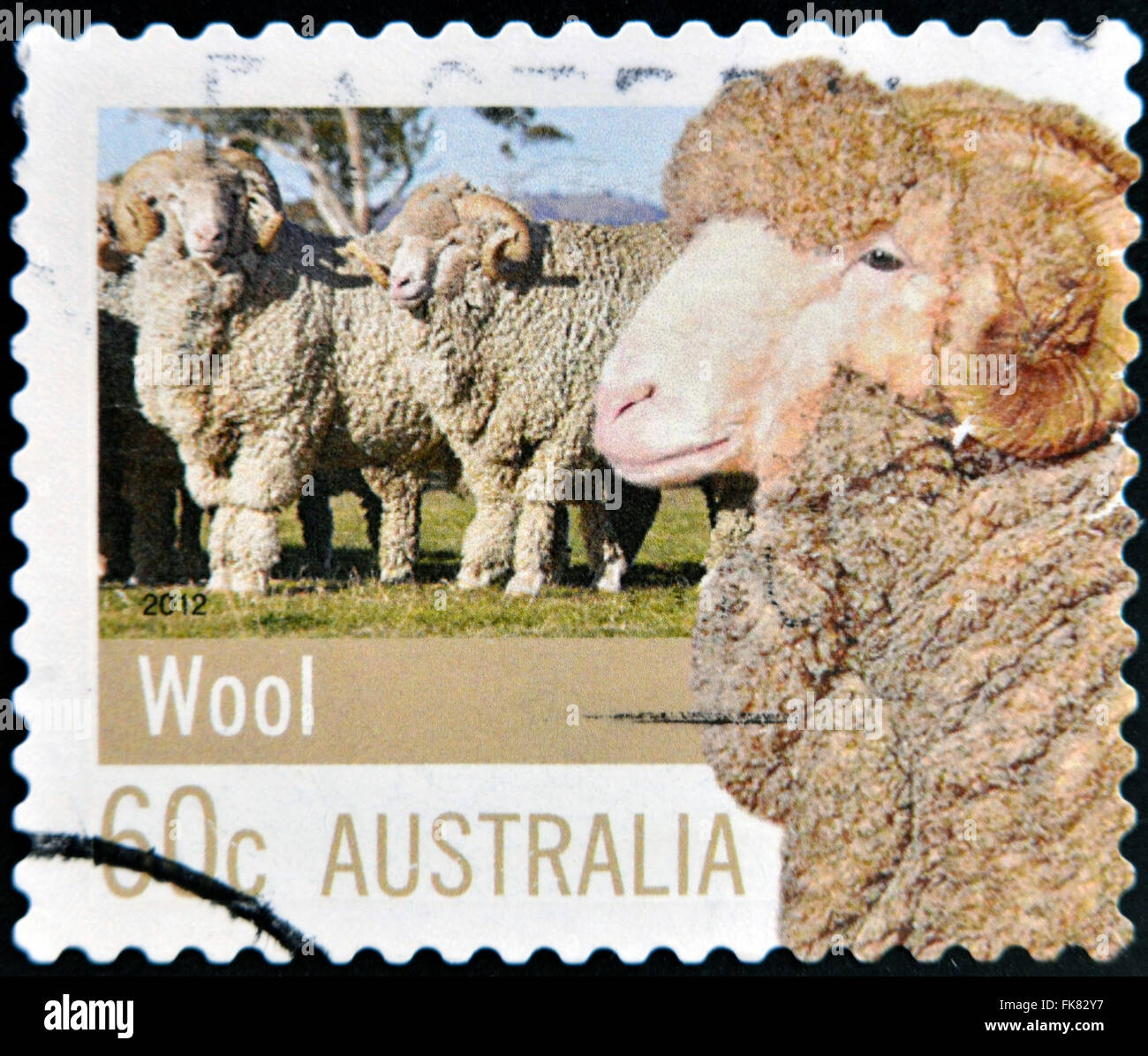 Australia stamp shows merino sheep hi-res stock photography and images ...