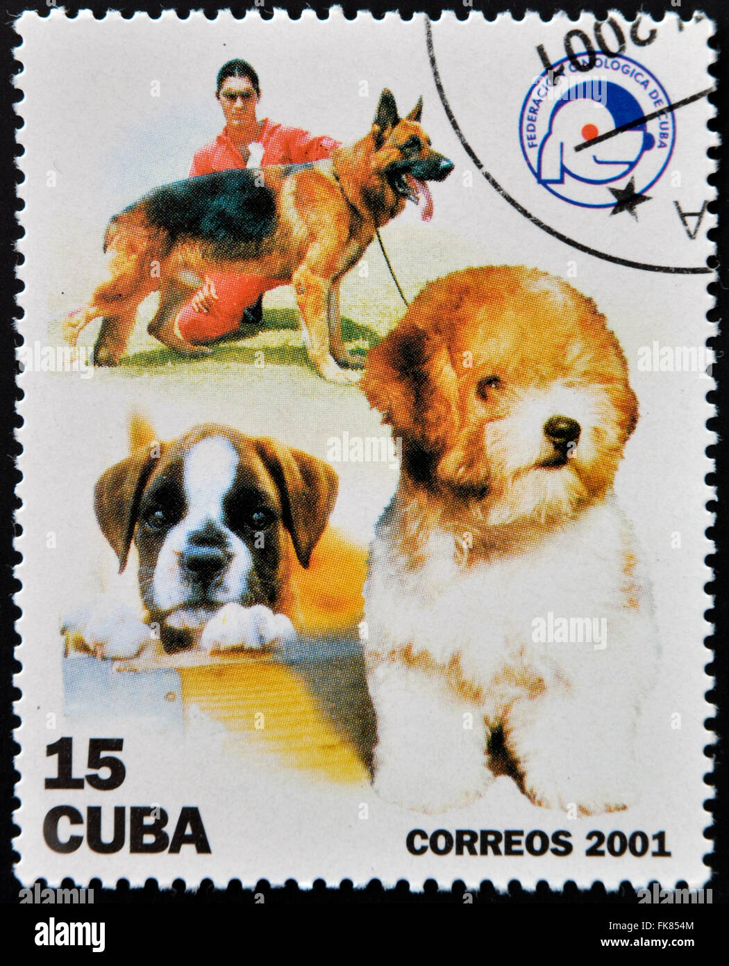 CUBA - CIRCA 2001: A stamp printed in the Cuba shows the dogs, circa ...