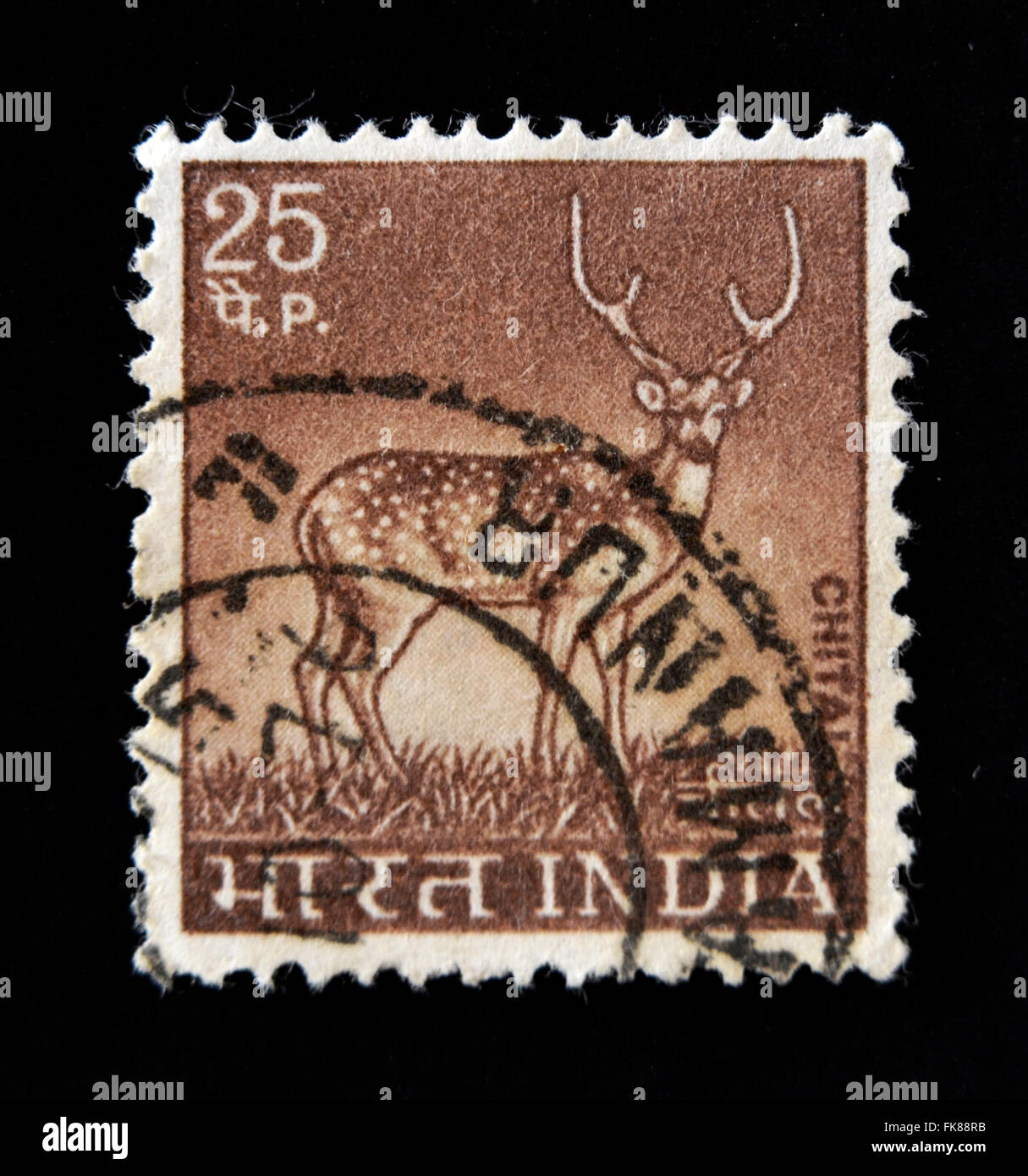 INDIA - CIRCA 1963: A stamp printed in India shows Deer, with the ...