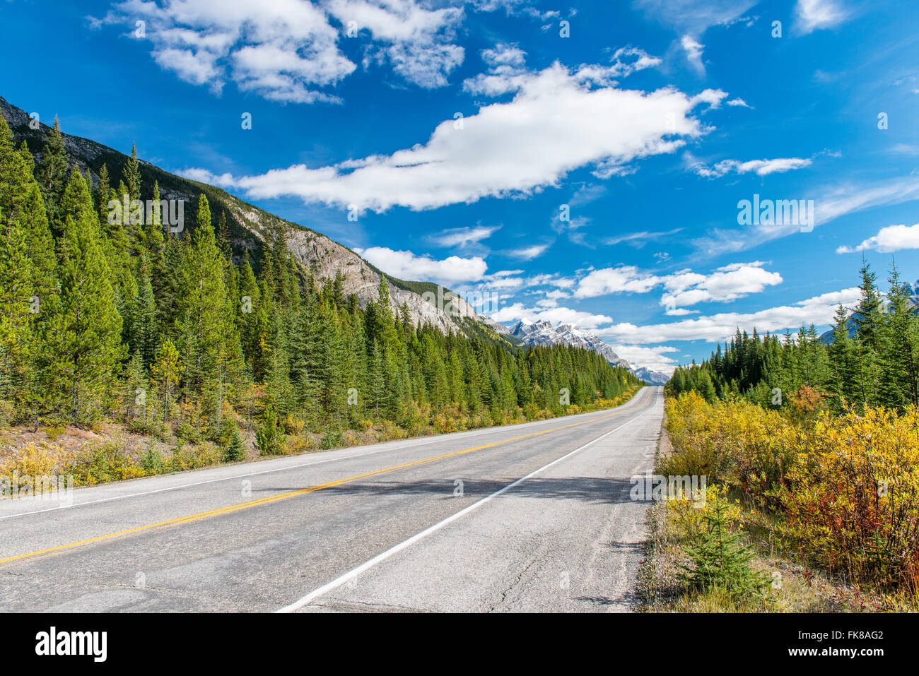 Highway Icefields Parkway, Highway 93, Canadian Rockies, Alberta ...