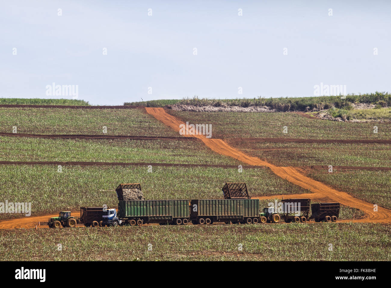 Loading truck with sugar cane hi-res stock photography and images - Alamy