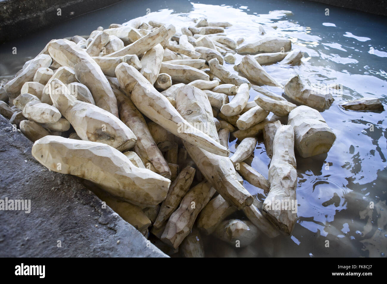 Cassava production in the tank to soak tapioca flour at home Stock ...