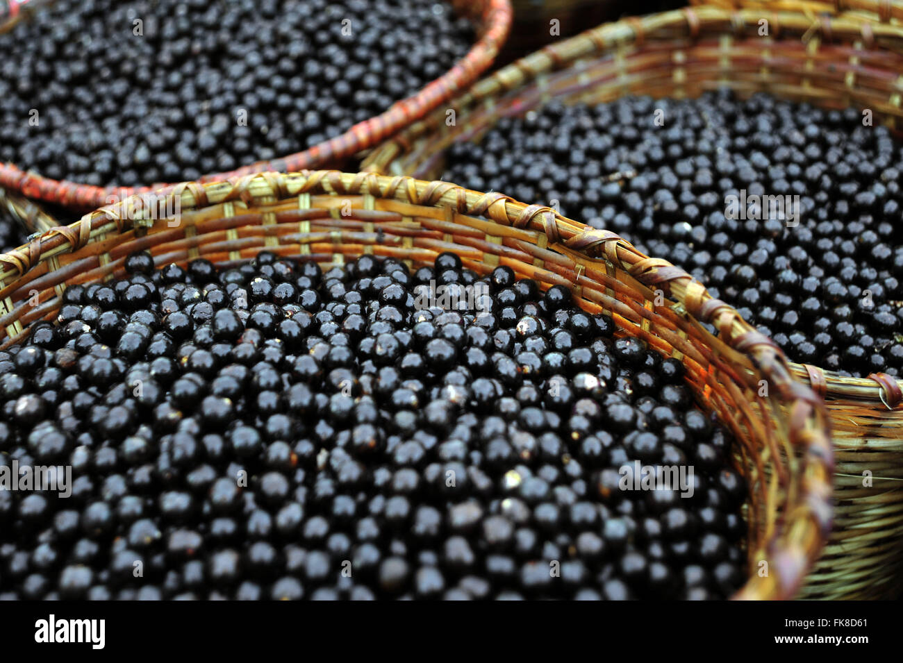 Acai fruit basket hi-res stock photography and images - Alamy