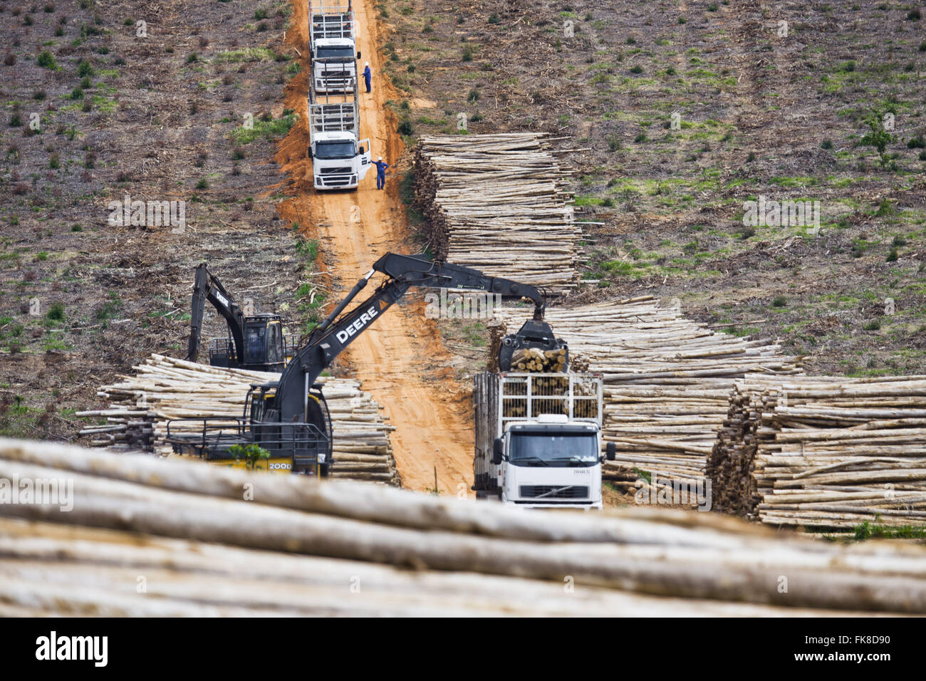 Log loading hi-res stock photography and images - Alamy