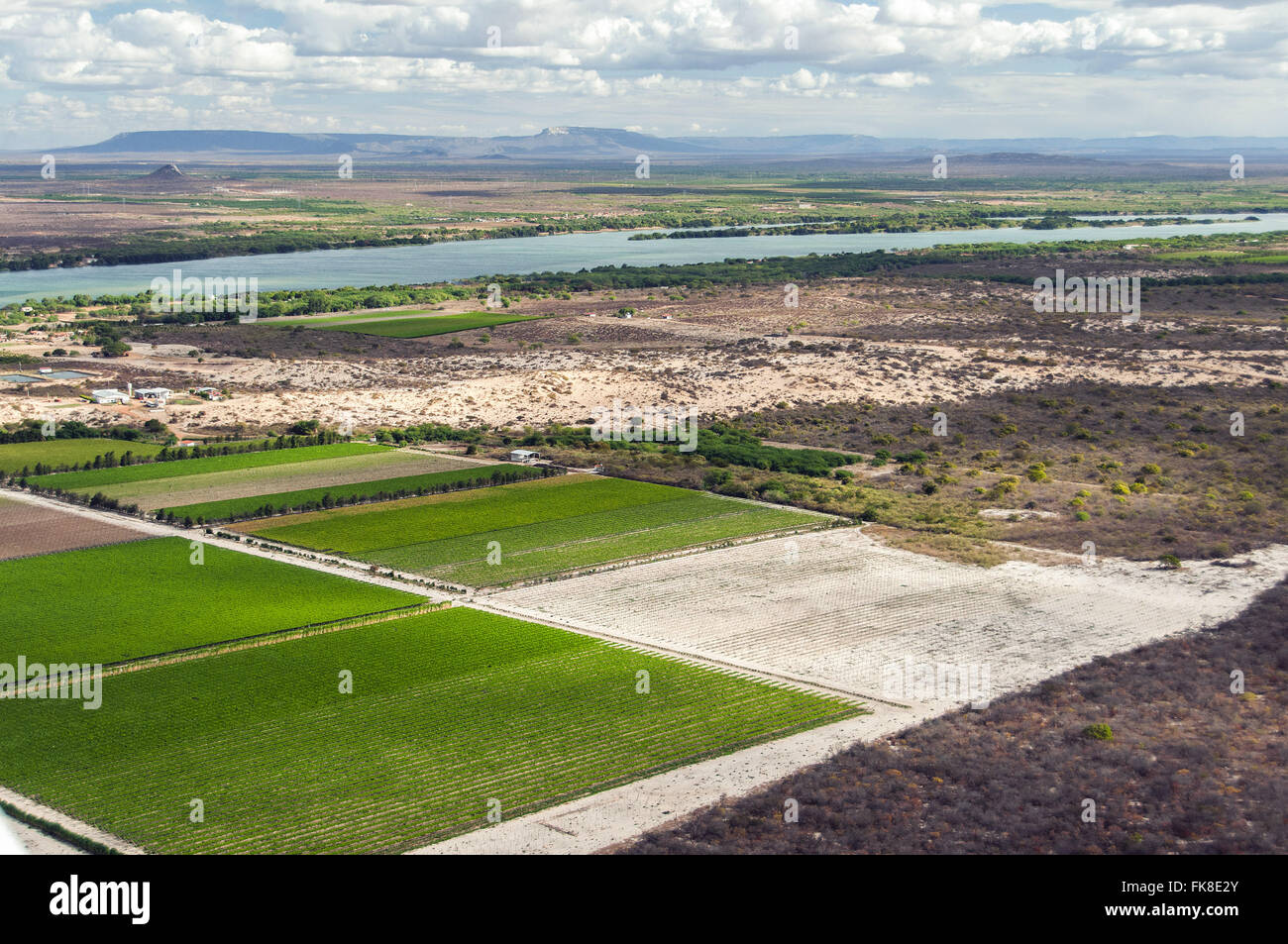 Irrigated pasture hi-res stock photography and images - Alamy