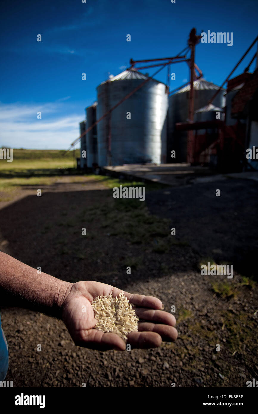 Agricultural production hi-res stock photography and images - Alamy