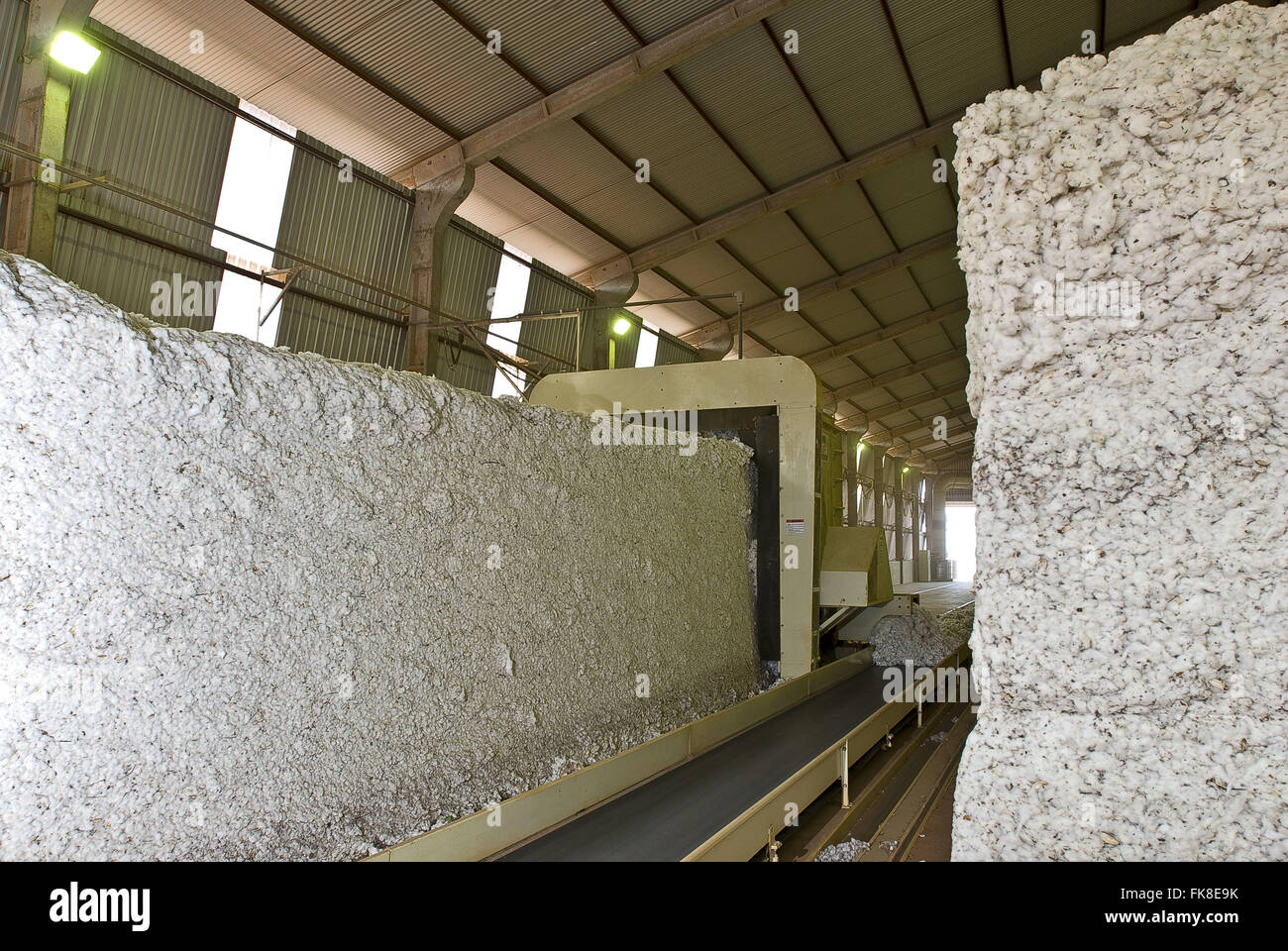 Cotton processing hi-res stock photography and images - Alamy