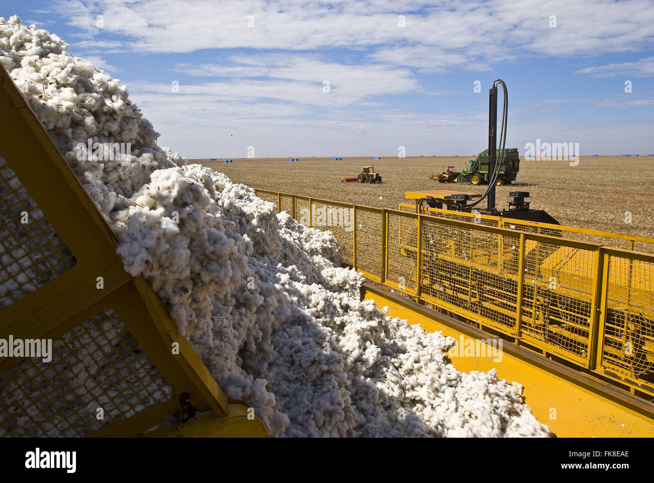 Unloading and pressing of cotton in a rural area of Costa Rica - Mato ...