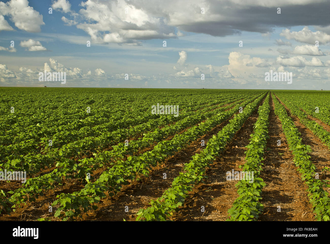 Costa rica rural hi-res stock photography and images - Alamy