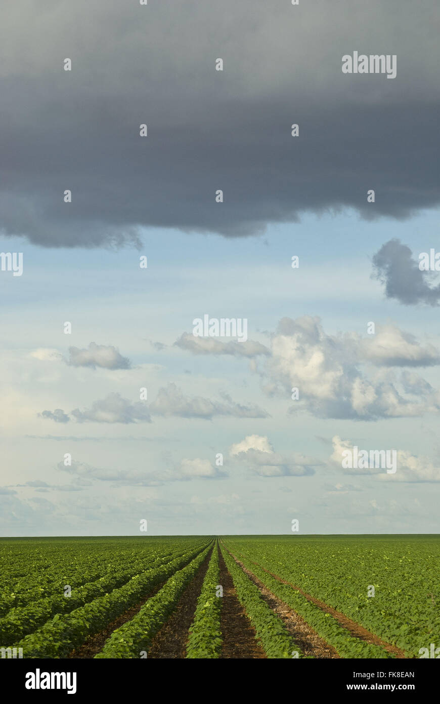 Rural costa rica hi-res stock photography and images - Alamy