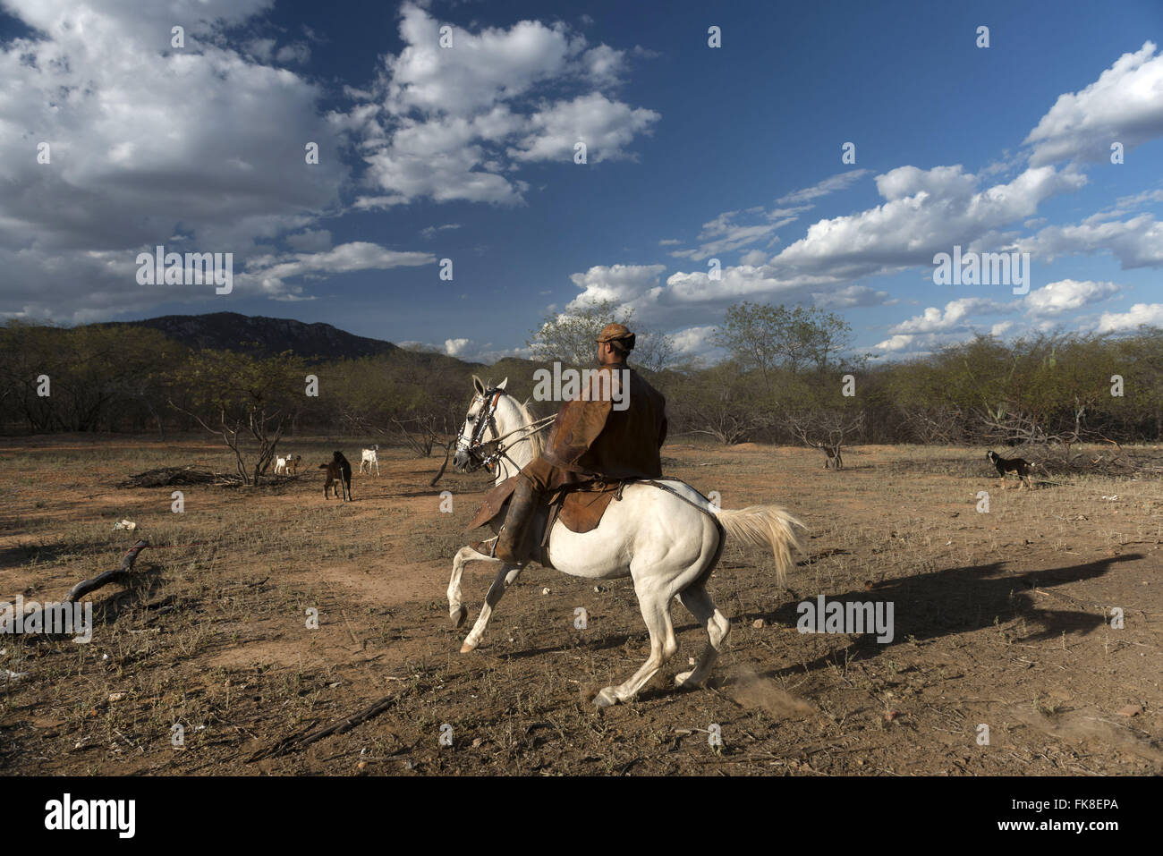 Adult male cowboy hi-res stock photography and images - Alamy