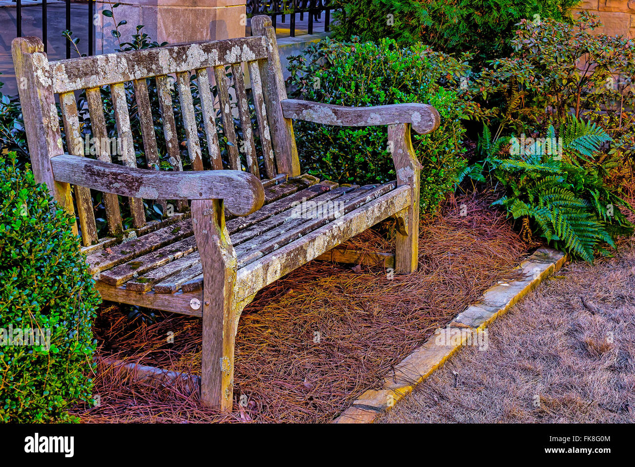 Brown wooden bench with moss growing Stock Photo - Alamy
