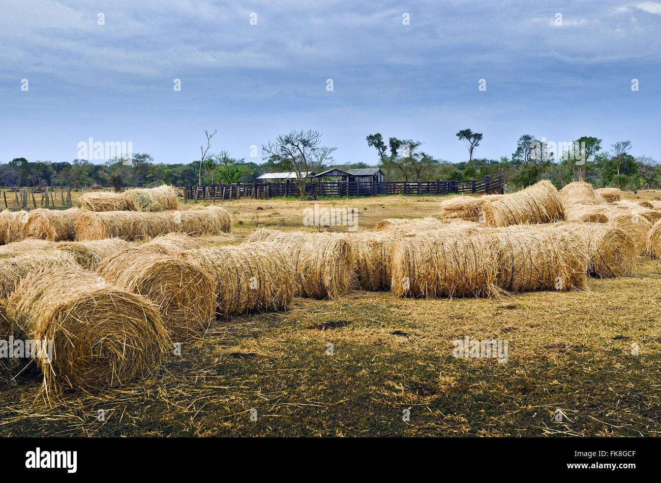 Farm scene with rolls of hay hi-res stock photography and images - Alamy
