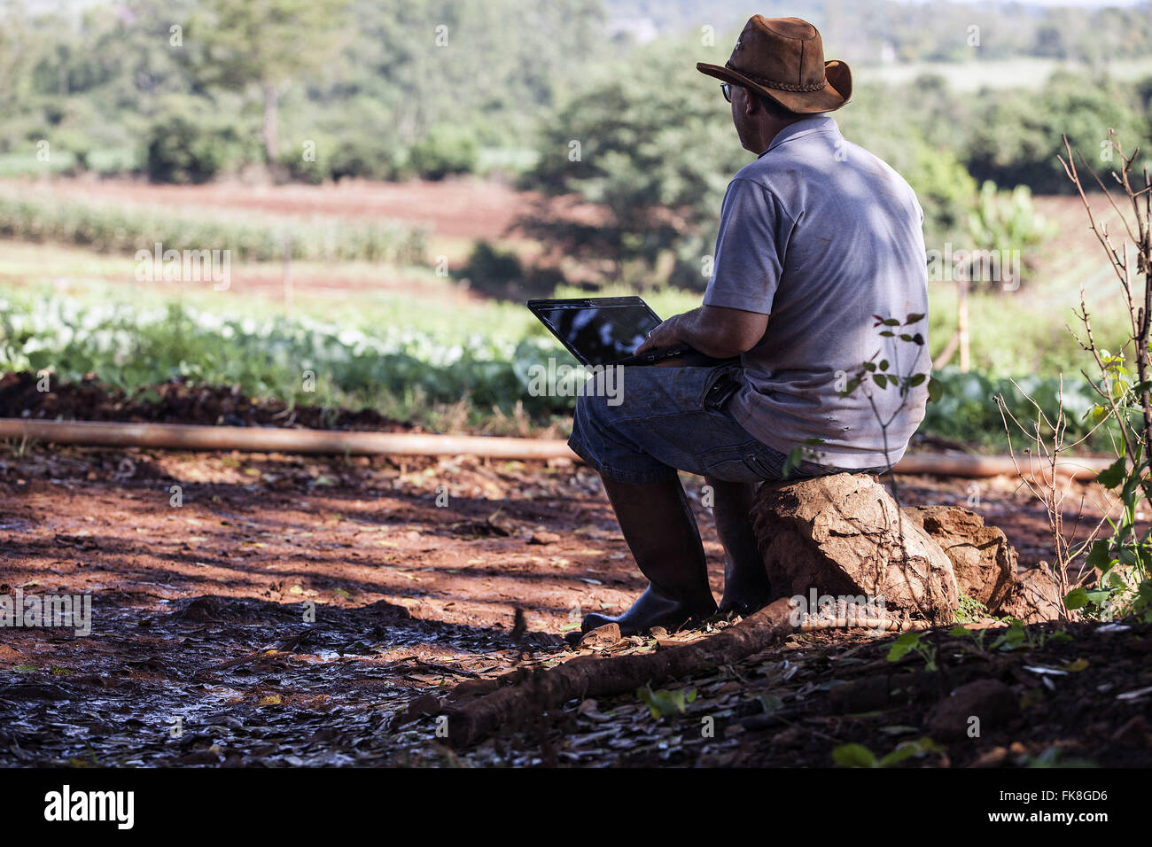 Farmer using technology hi-res stock photography and images - Alamy