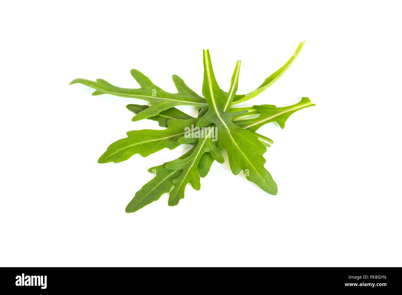 Fresh raw ruccola leaves isolated on white background Stock Photo - Alamy