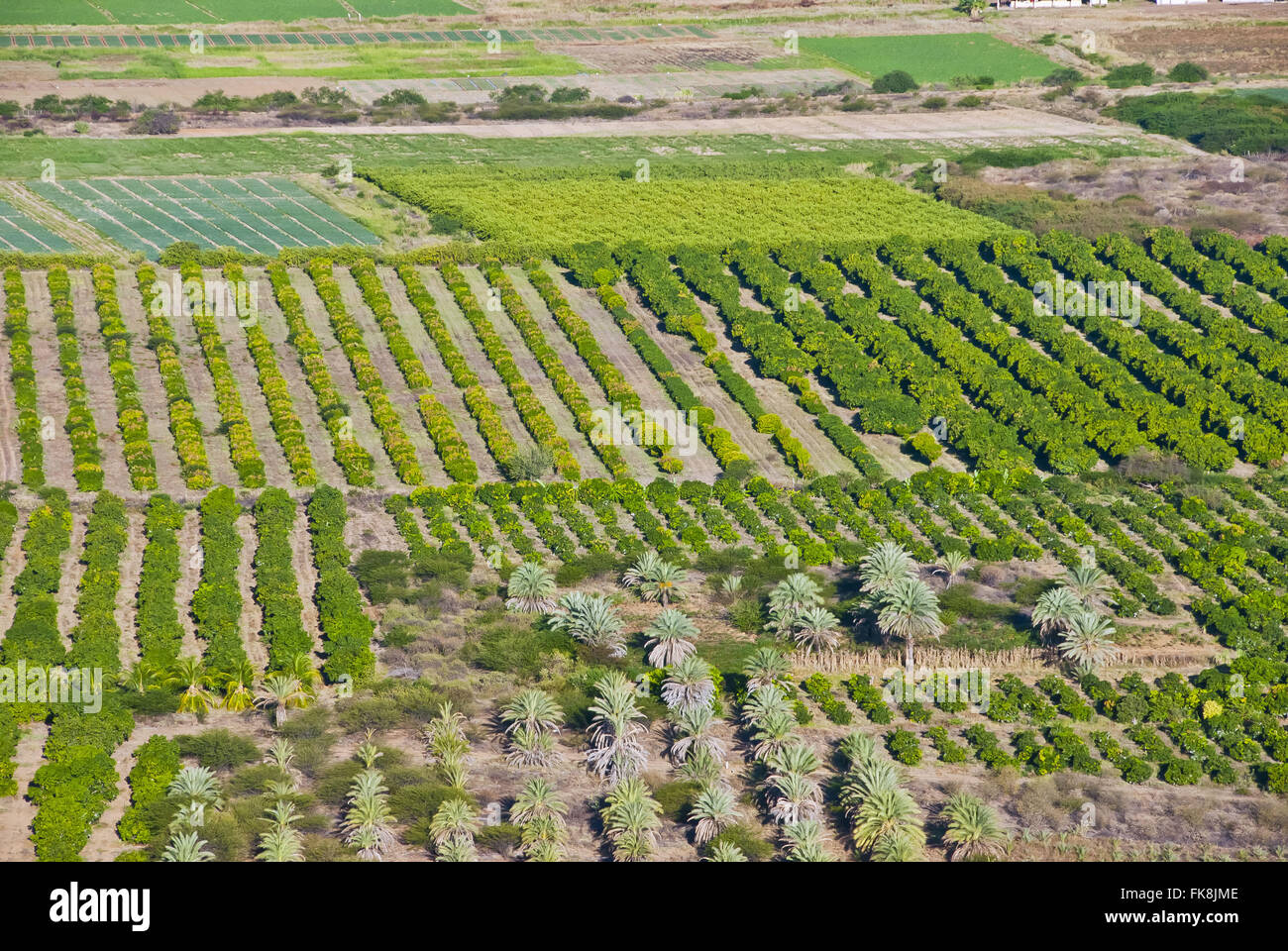 Irrigated Pasture High Resolution Stock Photography and Images - Alamy