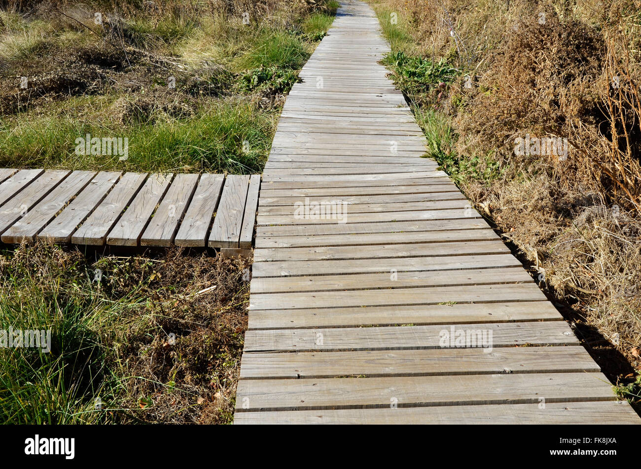 Heavenly path hi-res stock photography and images - Alamy