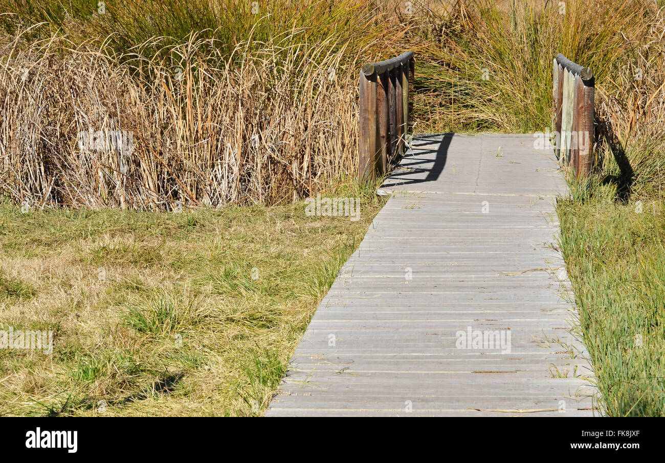 Heavenly path hi-res stock photography and images - Alamy