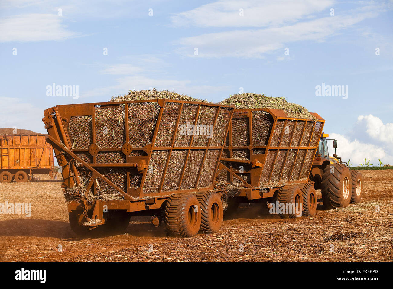 Cane hauling hi-res stock photography and images - Alamy