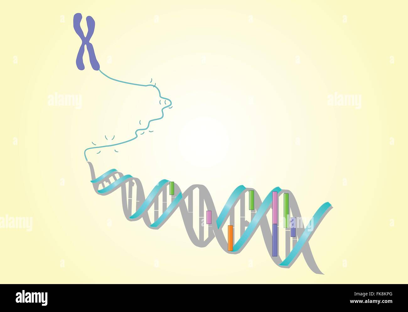 Acetylation Stock Vector Images - Alamy