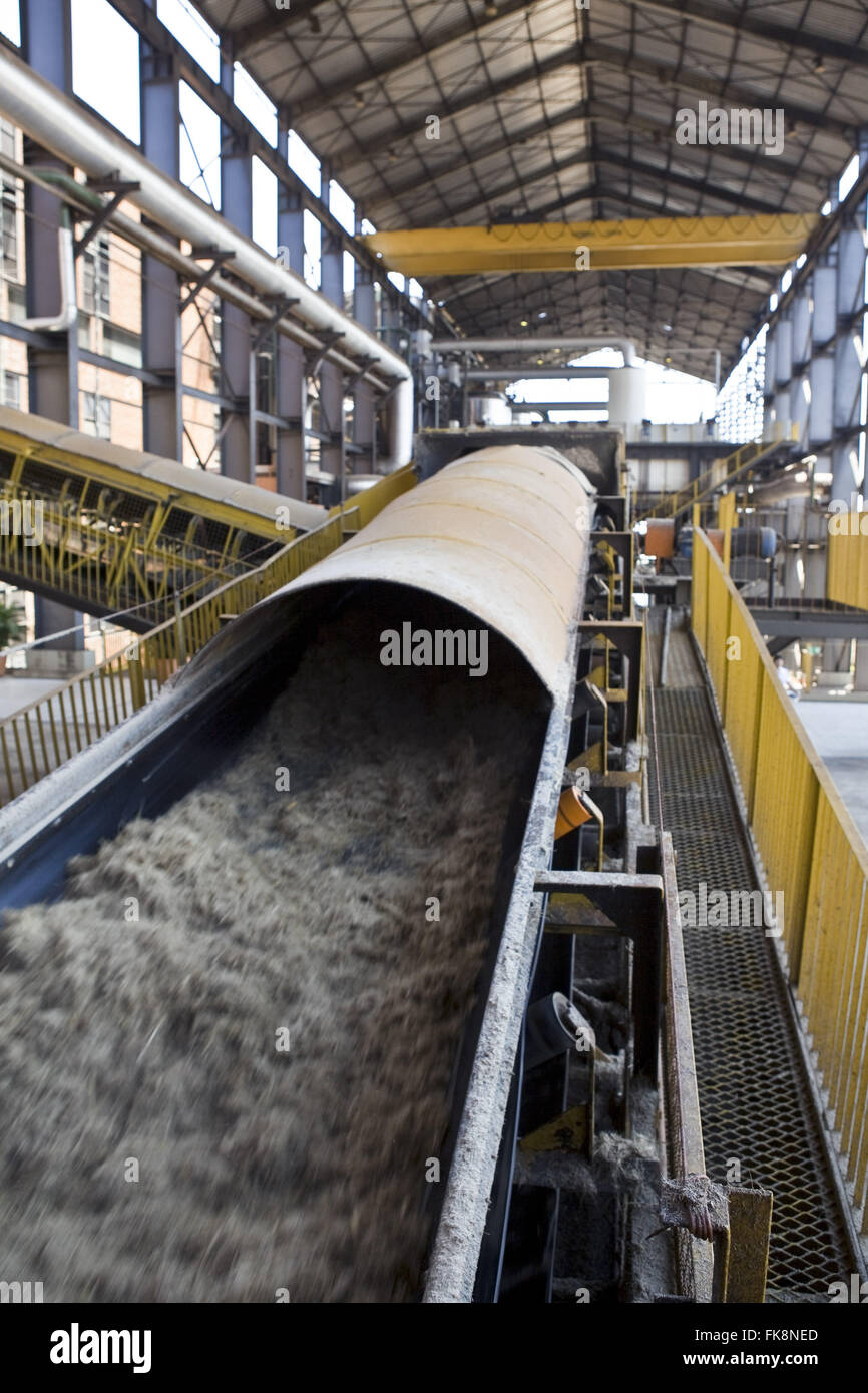 Mat of sugar cane bagasse in cogeneration power plant Stock Photo - Alamy