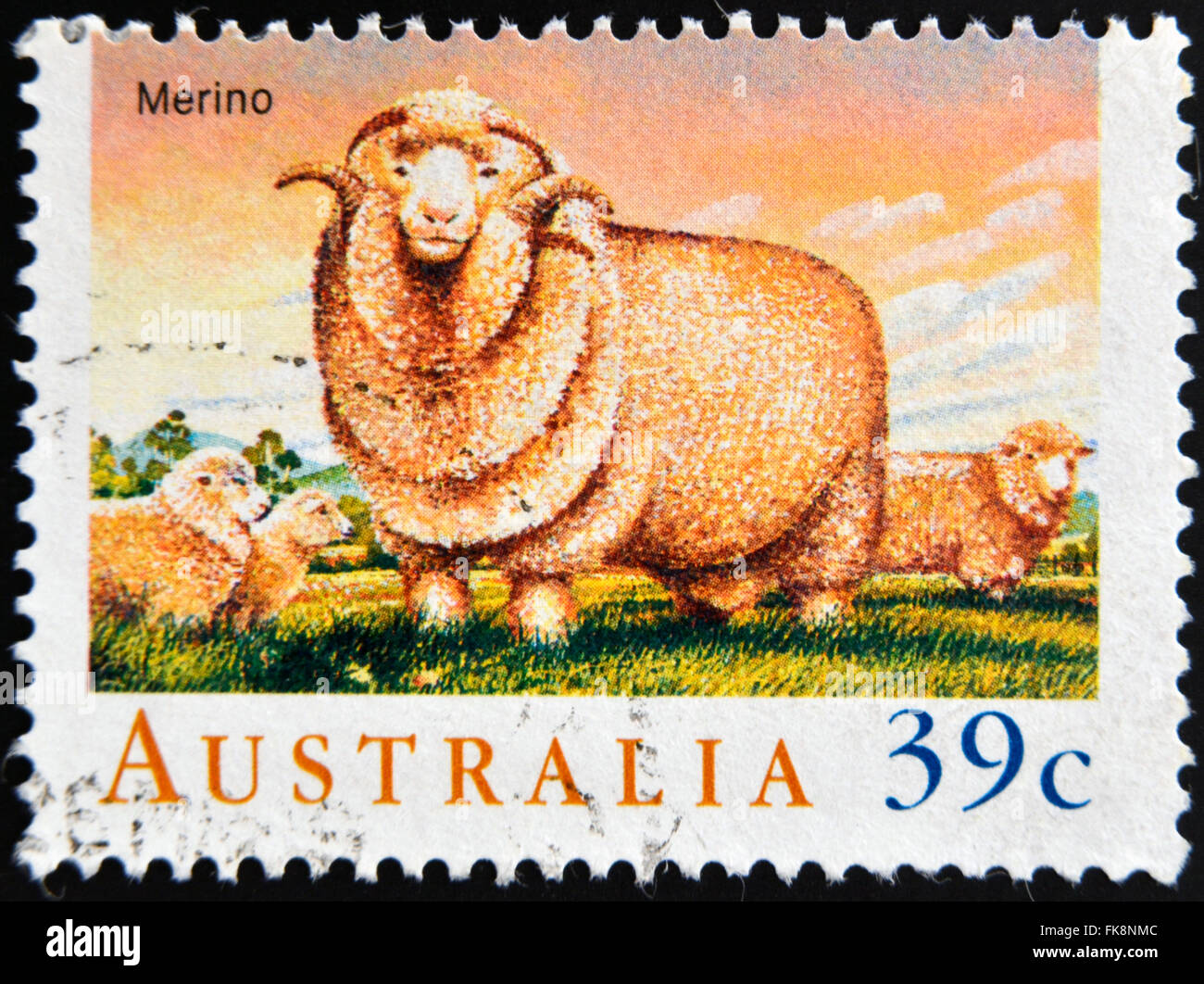 AUSTRALIA - CIRCA 1989: A Stamp printed in Australia shows the Merino ...