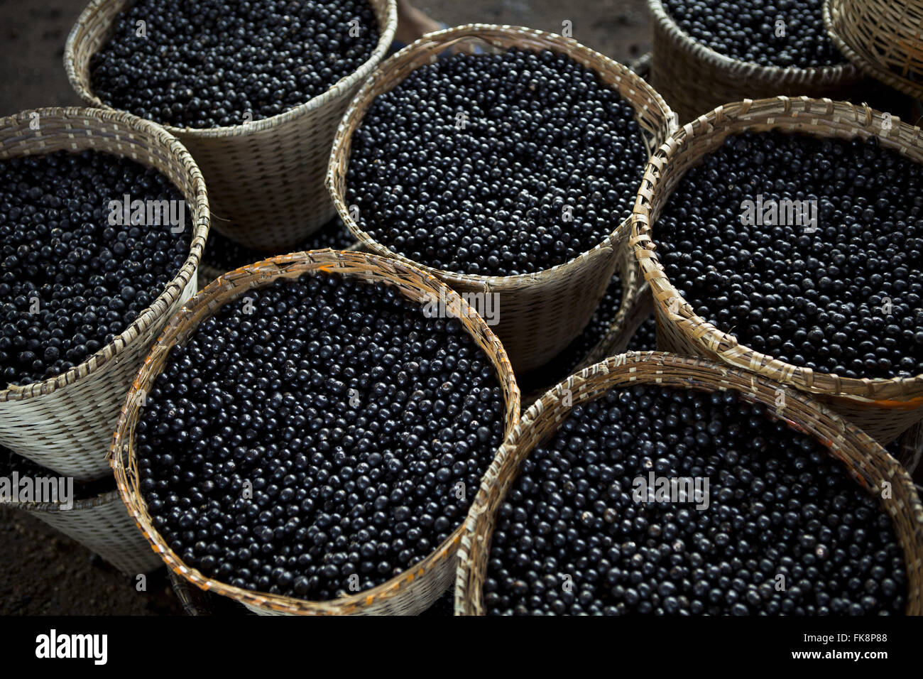 Acai in straw baskets on the market Santana - Santana Beirada Stock ...